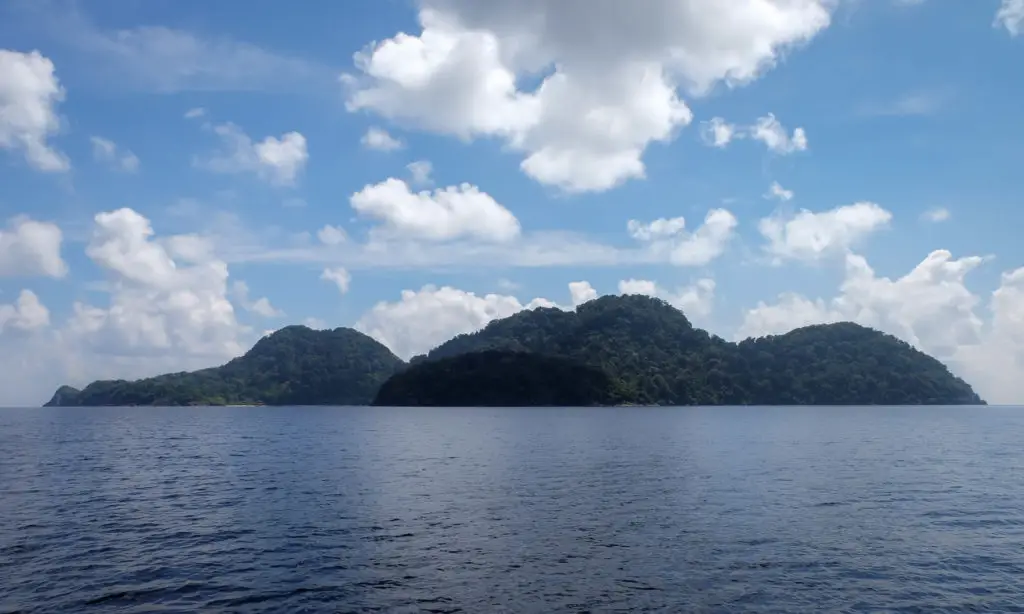 Pulau Tenggol Diving Ultimate Guide - Monkey Rock World