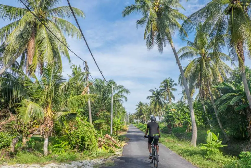 Cycling Malaysia from KL to Penang 5 Day Itinerary - Monkey Rock World