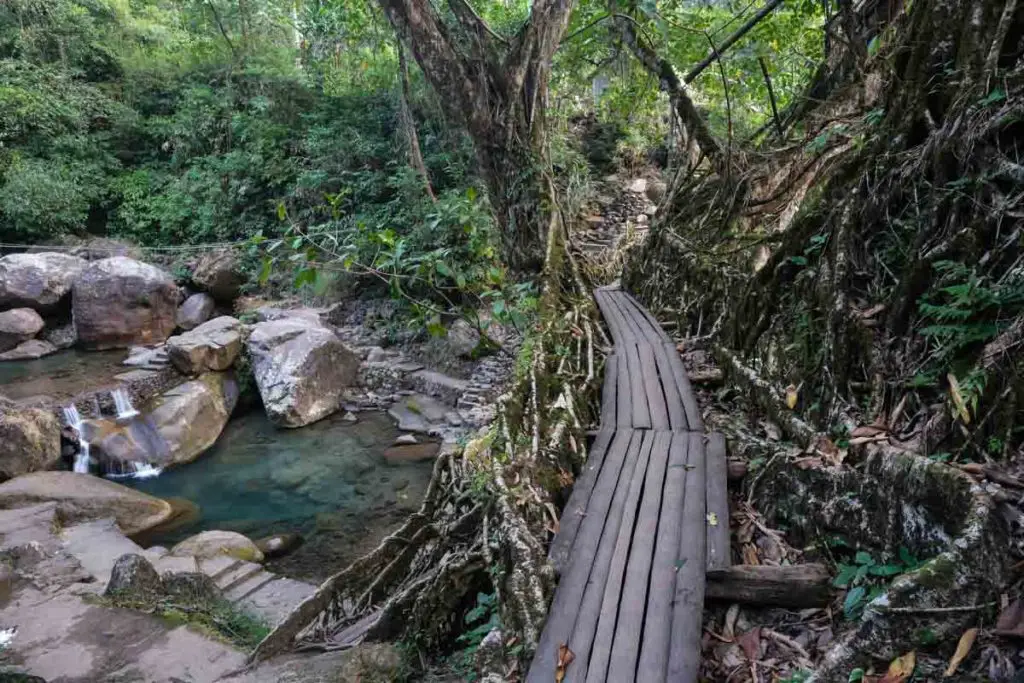 No BS Guide to the Nongriat Trek and Umshiang Double Decker Bridge