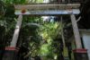 How to visit Tangkoko National Park like a Boss - Monkey Rock World