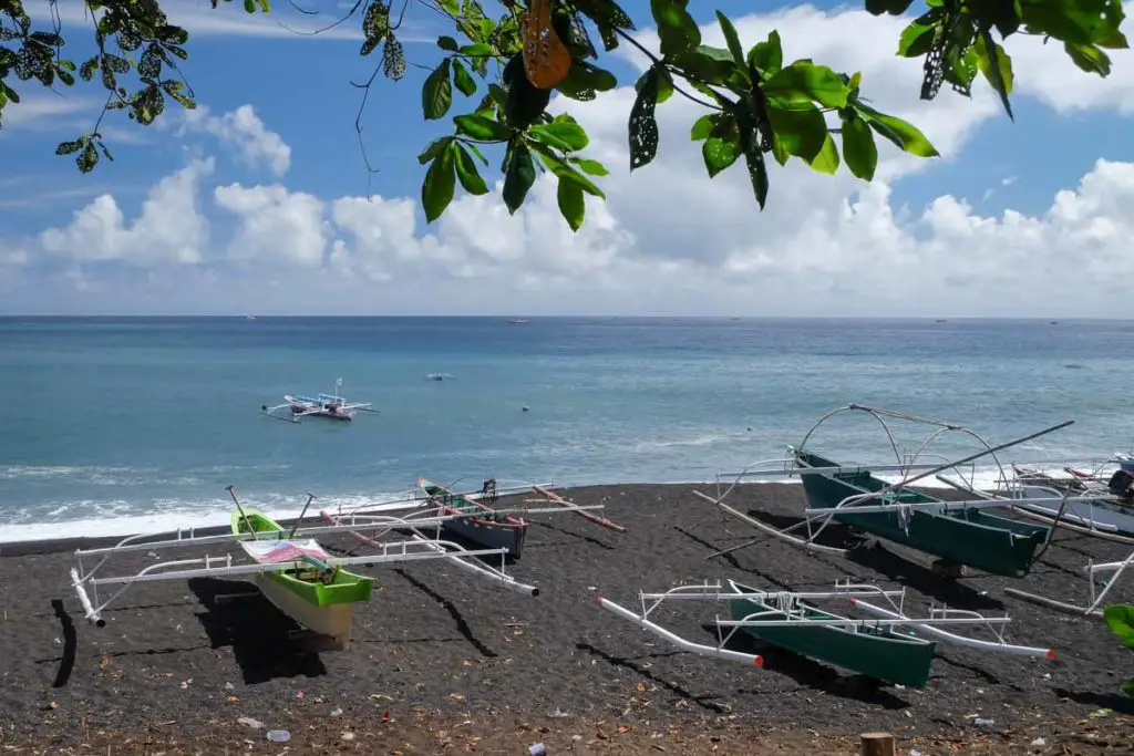How to visit Tangkoko National Park like a Boss - Monkey Rock World