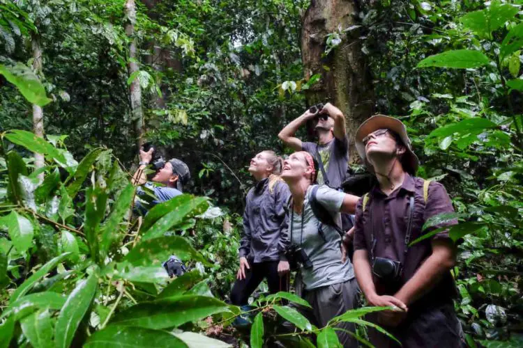 Ultimate Guide to Danum Valley Conservation Area - Monkey Rock World