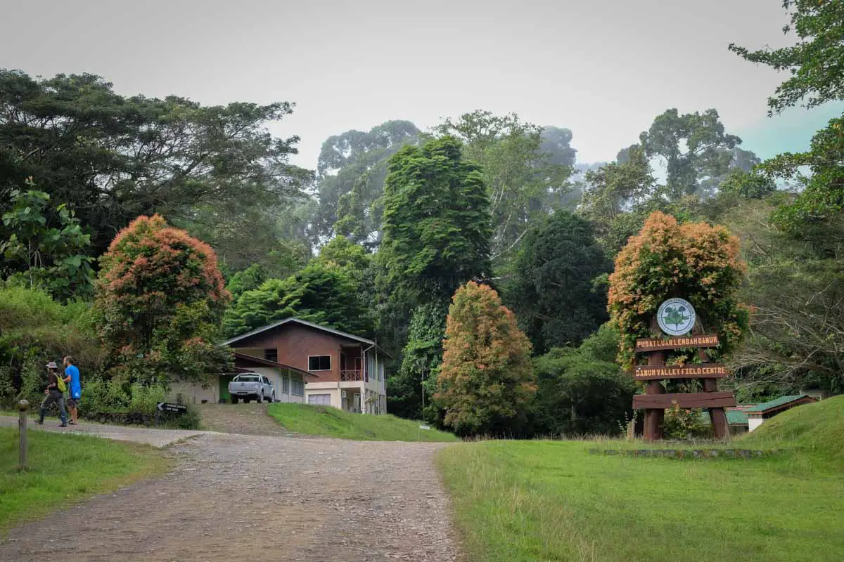Ultimate Guide to Danum Valley Conservation Area - Monkey Rock World
